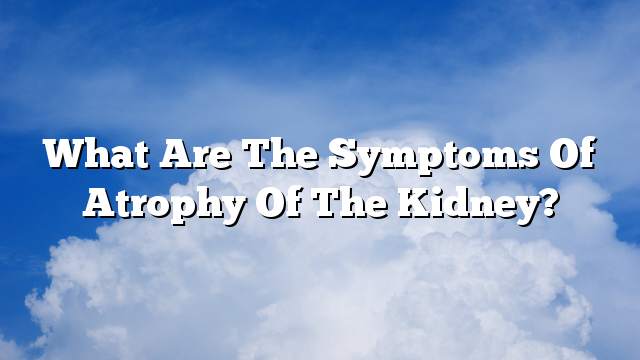 ¿Cuáles son los síntomas de atrofia del riñón? - el yogur